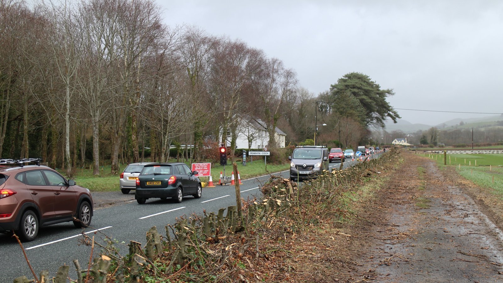Petition · Stop the Chop! Halt the destruction of the Penrhyncoch Beech ...