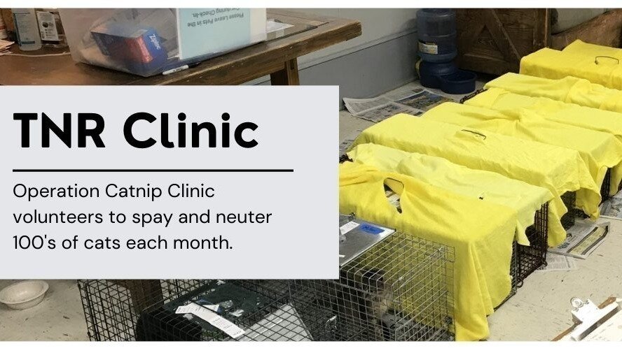 Petition · Lobby for Legal Acknowledgement and Financial Support of TNR ...