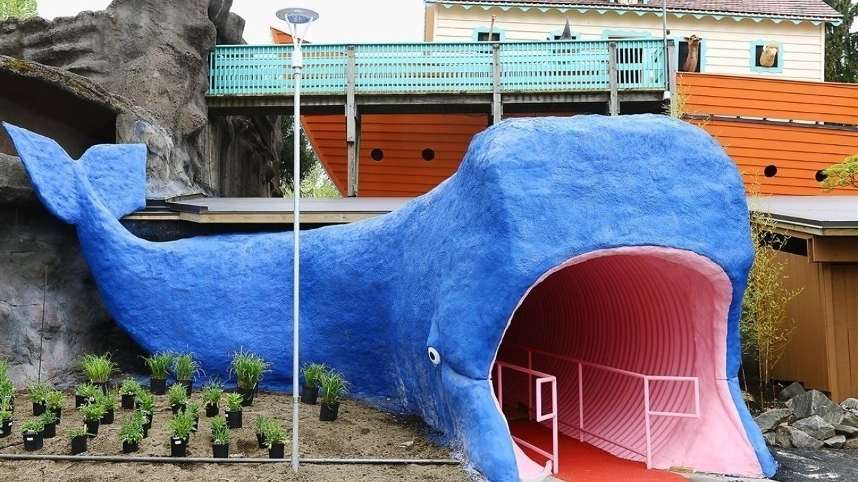 Petition · Fix the shaking floors on Noah’s Ark at Kennywood! - United ...