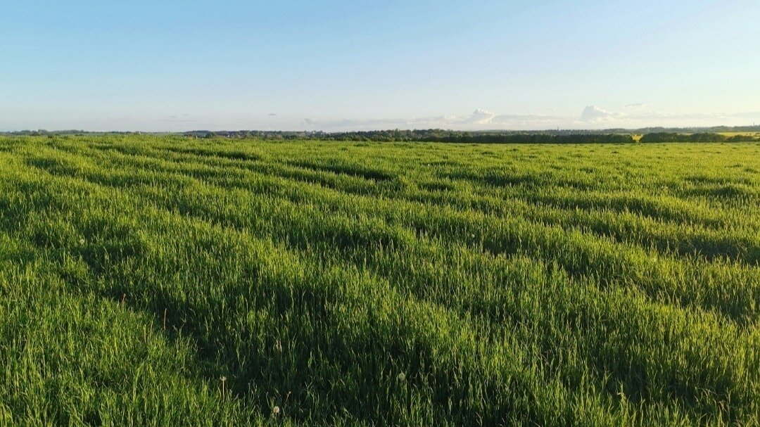 Petition · Halt the Proposed Middle Farm Development of 2200 Homes ...