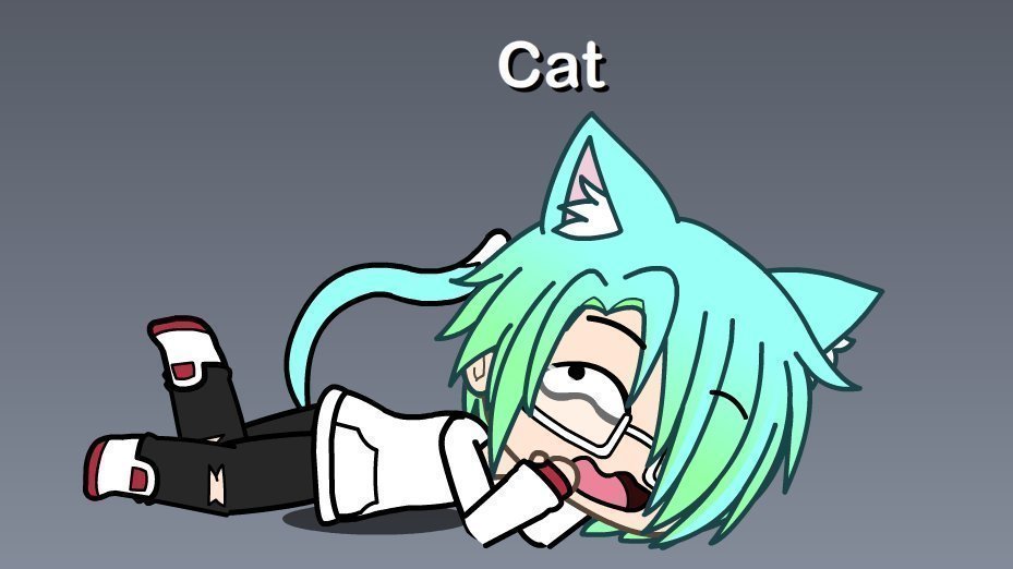 Petition · CANCEL CAT - Brazil · Change.org