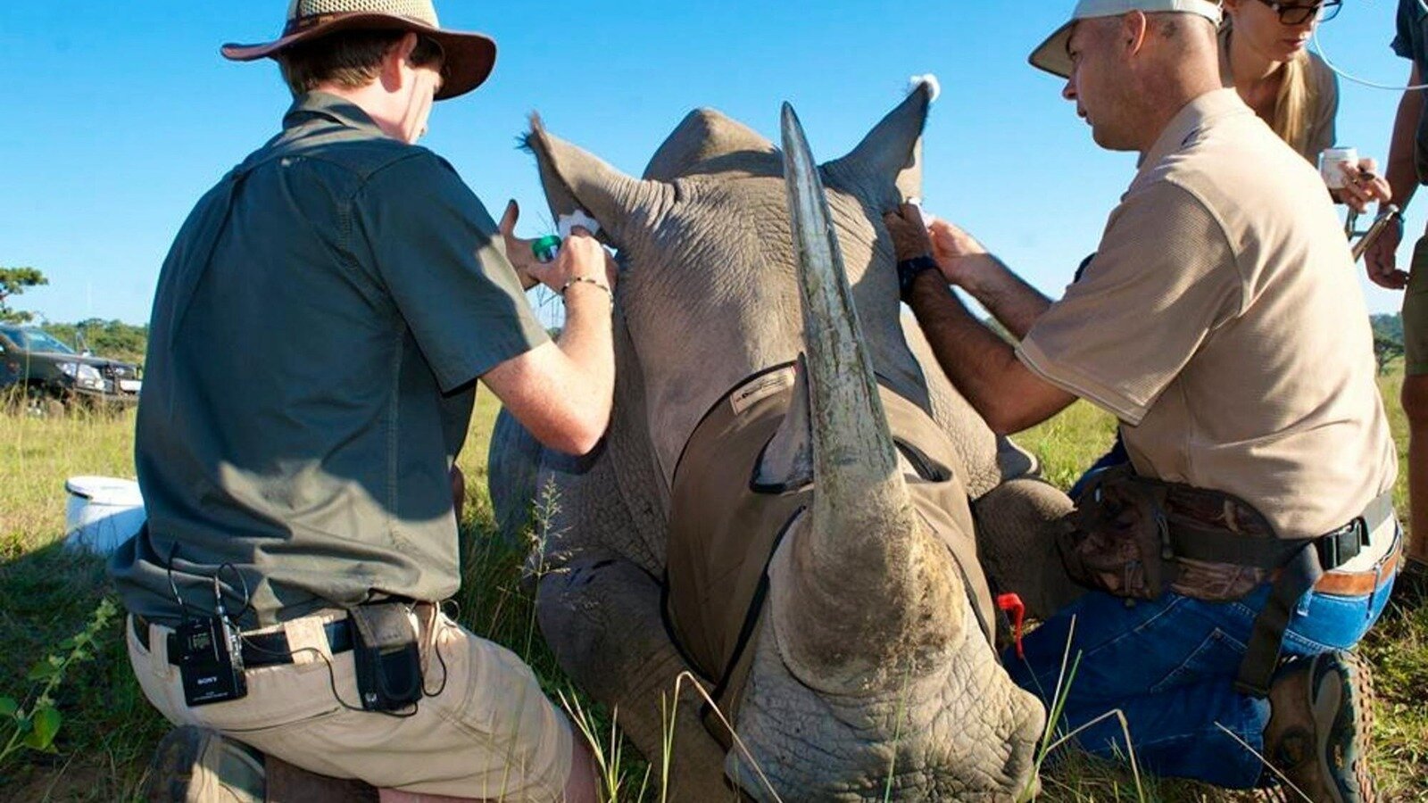 Petition · "Protect and Preserve Our Animals: A Call to Action for ...