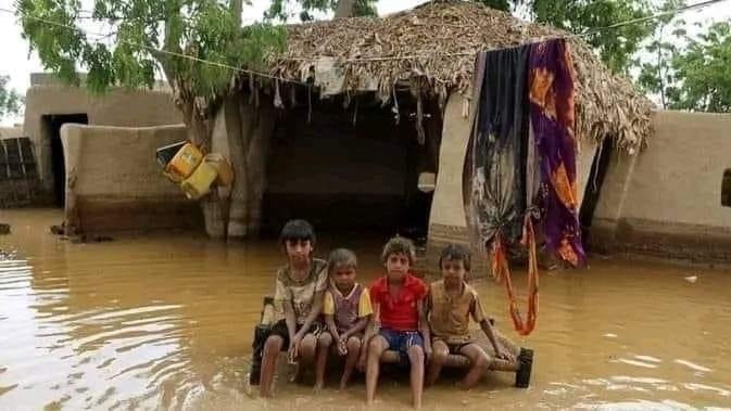 Petition · Hunger strike; for Human rights, Justice and Freedom for ...