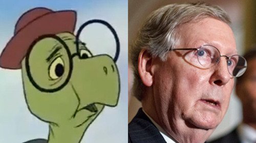 Petition · Mitch McConnell Needs to Admit he is a turtle. - United ...