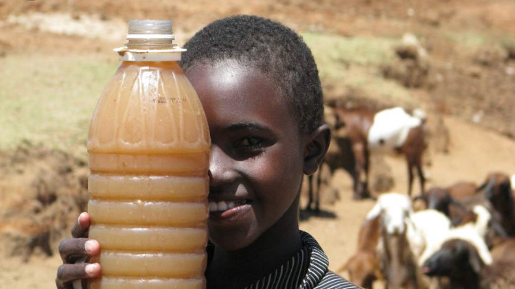 Petition · Raise awareness about the water crisis in Malawi - Canada ...