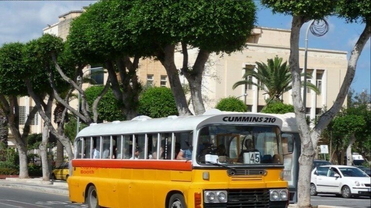 Petition · Demand An Investigation into the Tree Butchering in Mosta ...