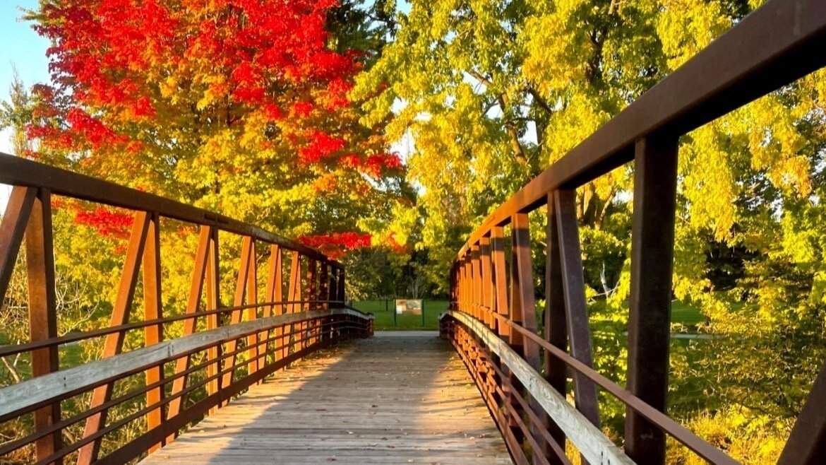 Petition · Implement Noise Mitigation Measures in Green Isle Park and ...