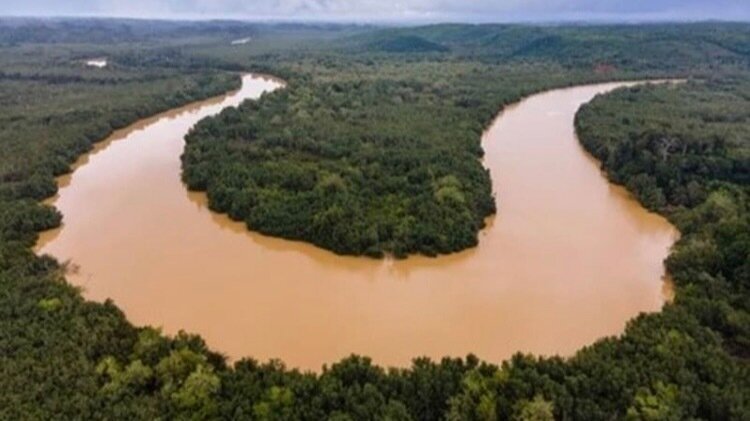 Petition · Halt Illegal Mining Practices Polluting Ghana's Water Bodies ...