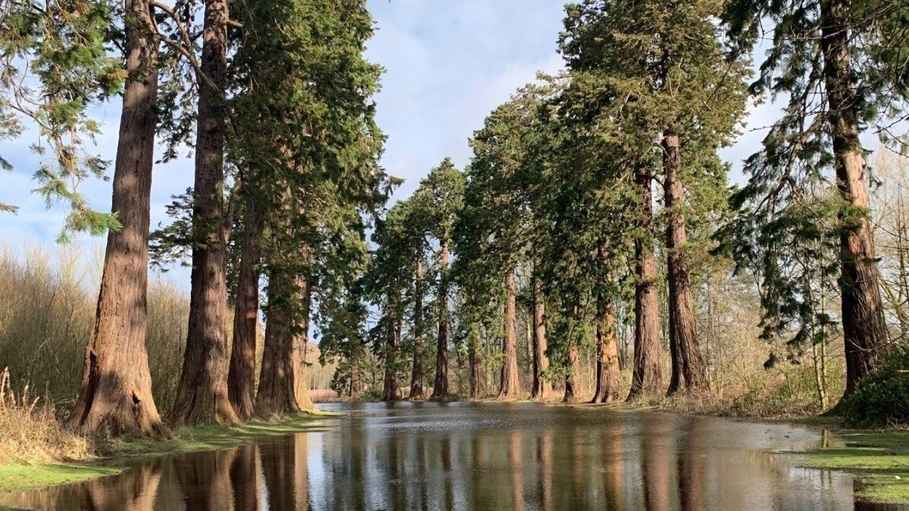 Petition · The Scottish Redwood Trust's campaign to save the Inchture ...