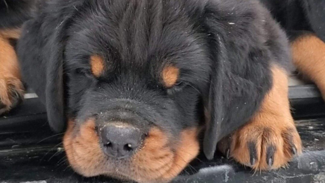 Pétition · Exigez une évaluation juste de la qualité du service d ...