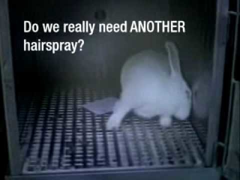 Petition · Animal Cruelty: stop testing makeup on animals - United ...