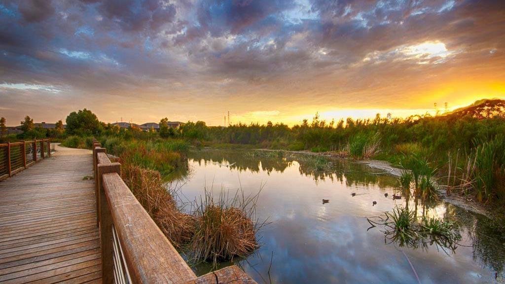 Petition · Ensure Settlers Run Botanic Ridge Remains Open to Flow ...