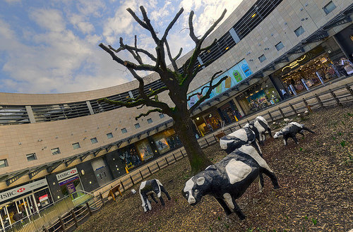 Petition · Replant an oak tree at Midsummer Place - United Kingdom ...