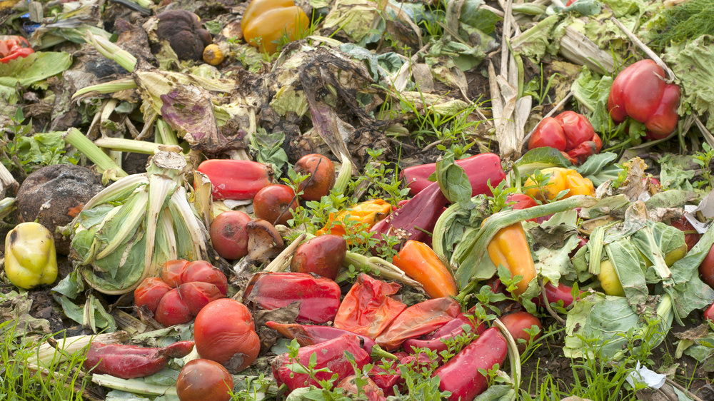 Petition · Ban food waste in NYC supermarkets - United States · Change.org