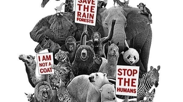 Petition · Demand Stronger Animal Protection Laws to Stop Animal ...