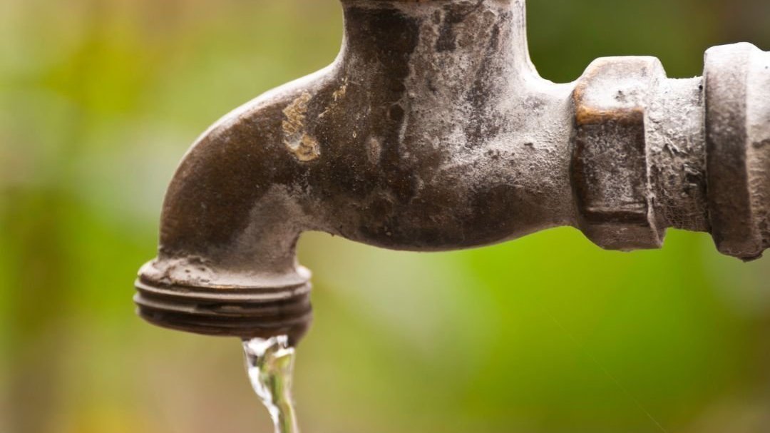 Petition · Dear Mr. President, Hammanskraal Water is A Human Rights ...