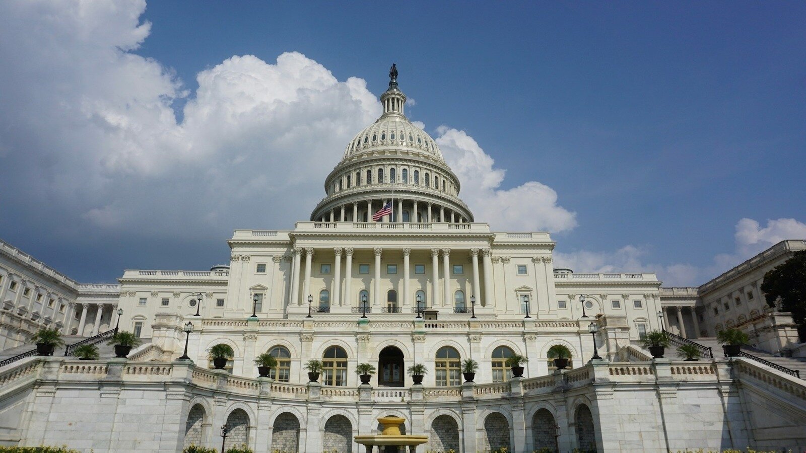 Petition · Health Insurance CEOs will testify before Congress. Sign to ...