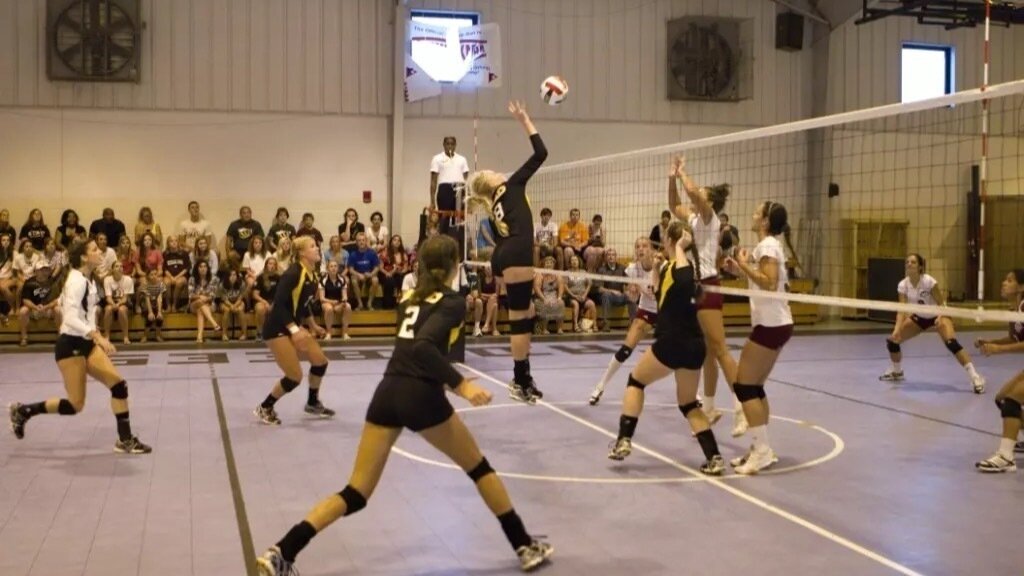 Petition · Creation of Club Volleyball at SCAD! - Savannah, United ...