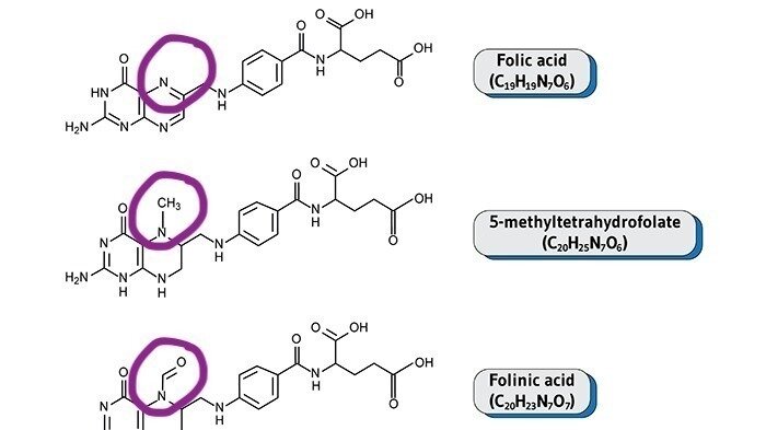 Petition · Ban the fortification of NZ flour with folic acid - New ...