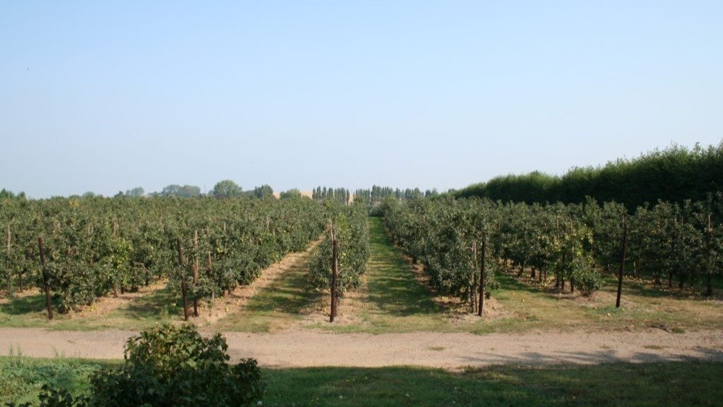 Petition · Oppose Gladmans Planning for 135 dwellings at Pond Farm ...