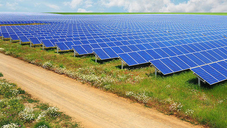 Petition · Solar Energy Isn't So Green - United States · Change.org
