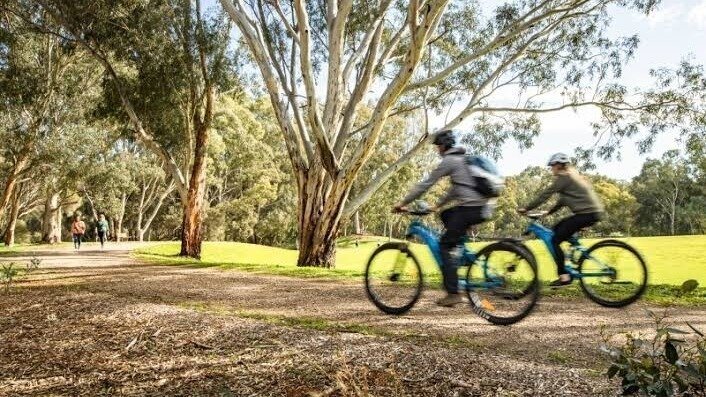 Petition · SLOW DOWN bikes and E-bikes/vehicles on Shared Use Paths ...