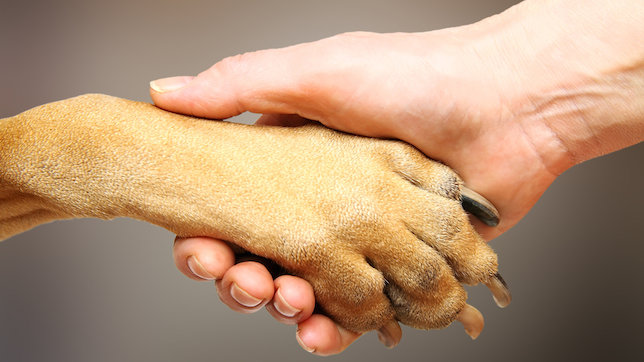 Petition · A call for humane treatment of all animals in the care of ...