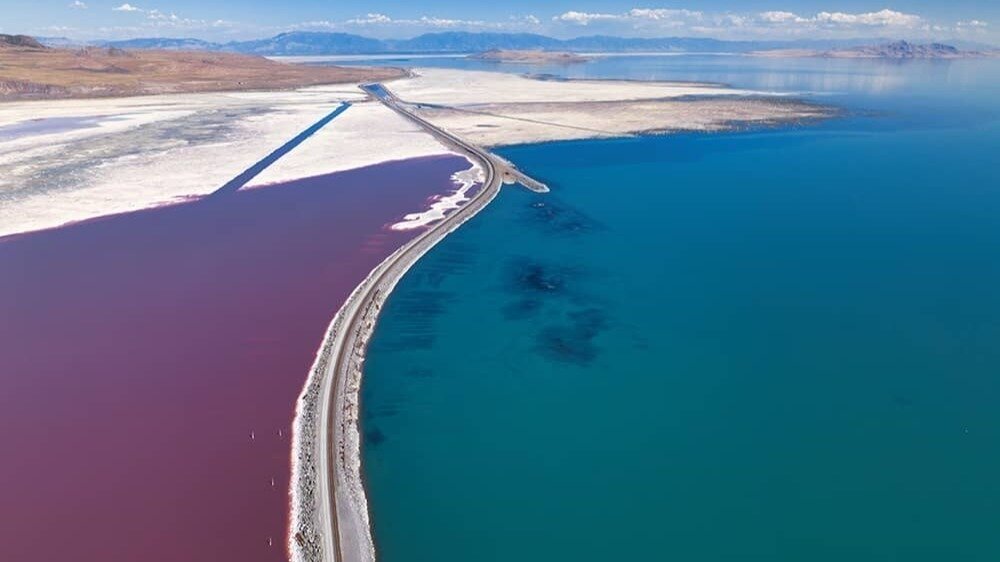 Petition · Demand Urgent Action to Stop the Collapse of the Great Salt ...