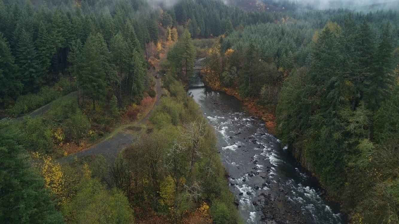 Petition · No Chehalis Dam - United States · Change.org