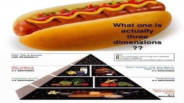 Petition · Change the food pyramid into a food triangle - United States ...