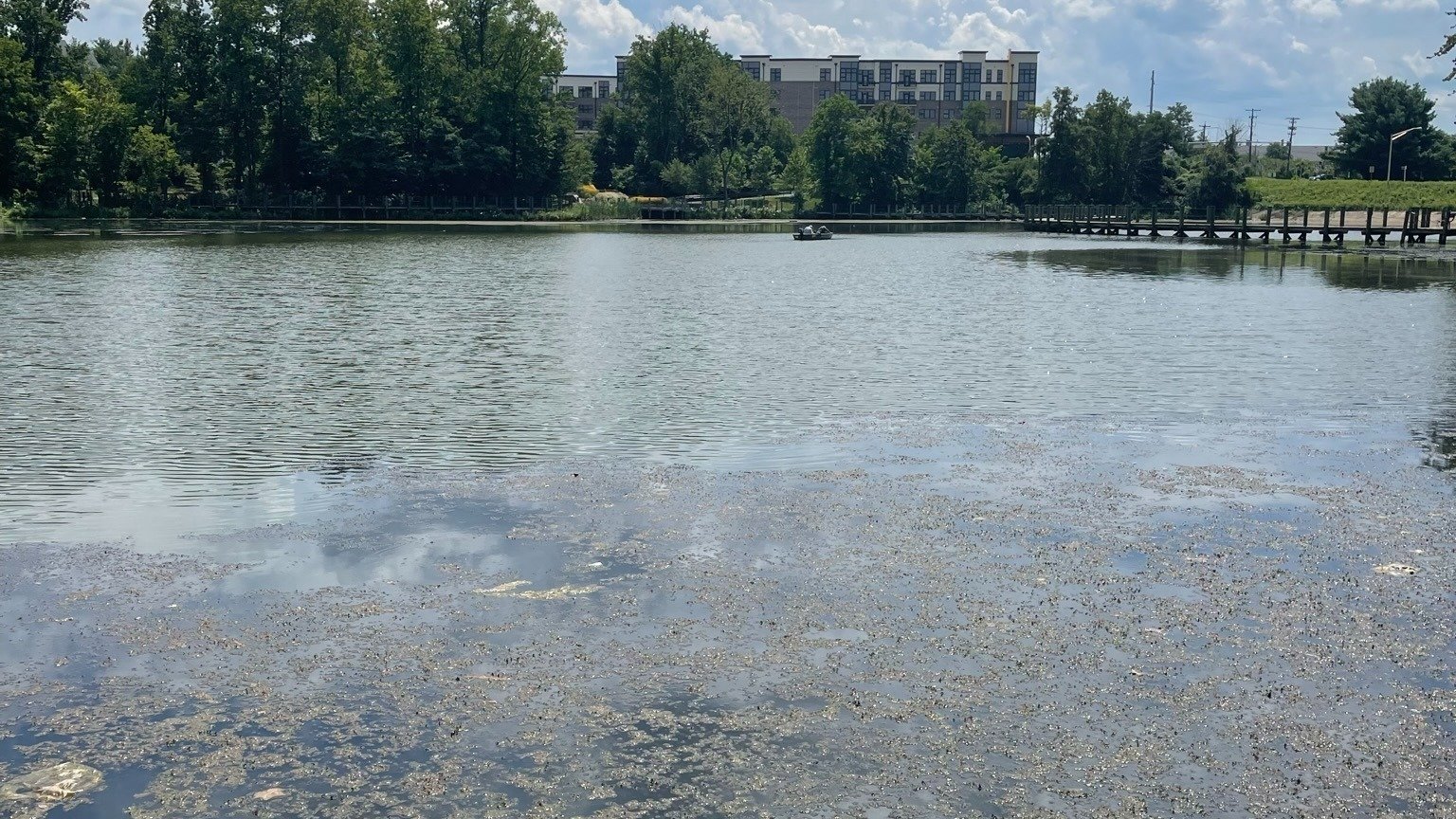 Petition · Lake Largo Needs Assistance from Prince George's County ...