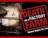 Petition · PUT AN END TO INHUMANE FACTORY FARMING! - United States ...