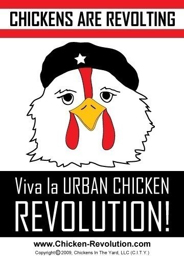 Petition · Amend the Backyard Chicken Laws - United States · Change.org
