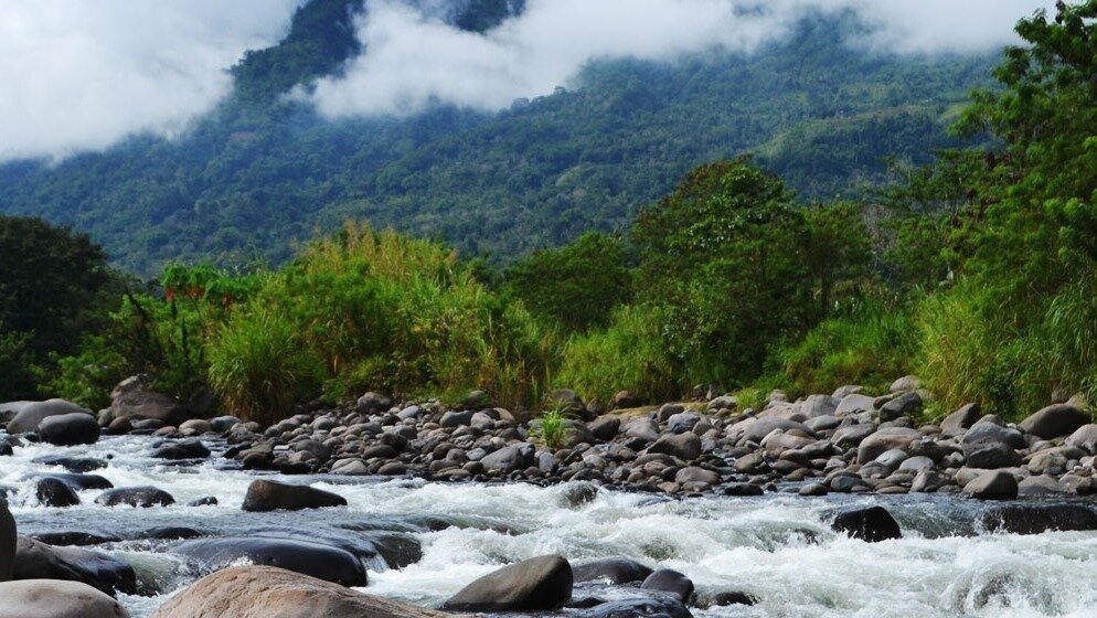 Petition · Protect Panigan-Tamugan Watershed - Philippines · Change.org