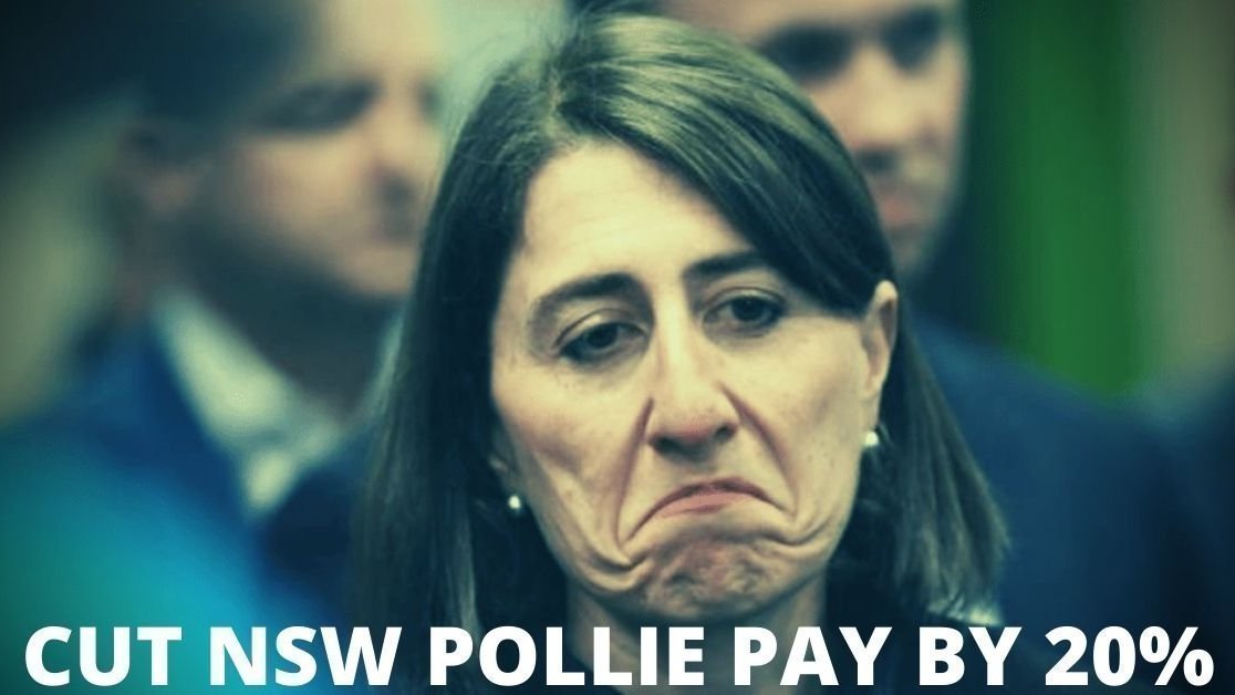 Petition · NSW State Politicians should take a 20% pay cut - Australia ...