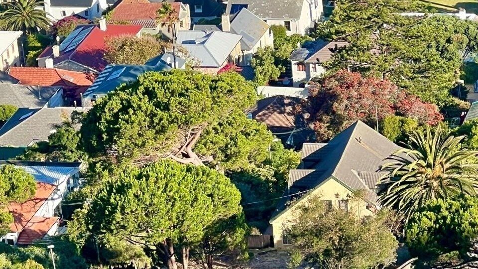 Petition · Petition for the Identification & Removal of Large Alien ...