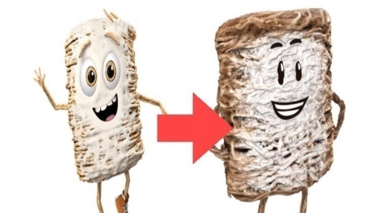 Petition · BRING BACK THE OLD MINI WHEATS MASCOT - United States ...