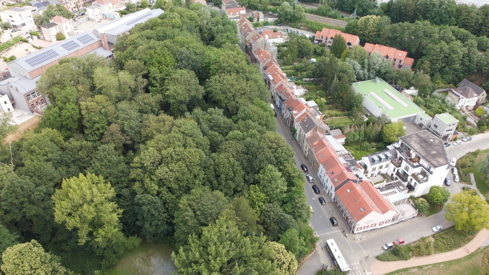 Pétition · SAUVONS LE BOIS DE CALEVOET ! - Belgique · Change.org