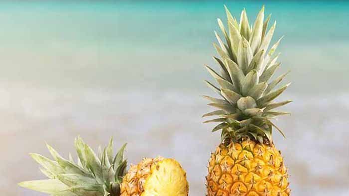 Petition · I really want a Space Pineapple in Star Wars IX - United ...