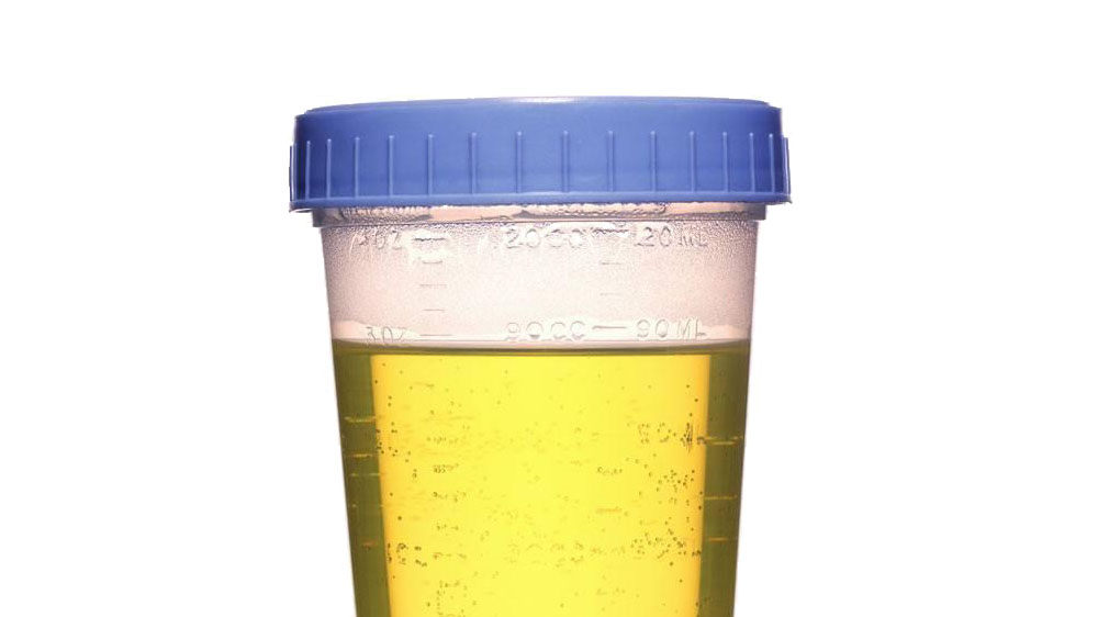 Petition · Mandatory Drug Testing for Elected Officials in the State of ...