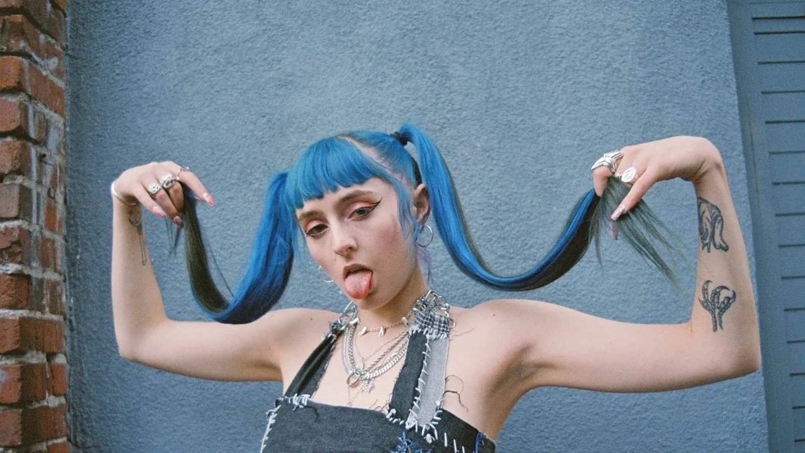 Petition · Get Ashnikko to play at DePaul University FEST - United ...