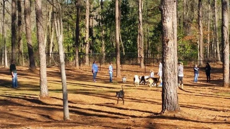 Petition · Support for Wheelock Park Community Dog Park in Keene NH ...