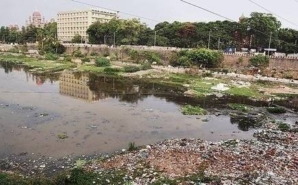 Petition · Save the Musi River - India · Change.org