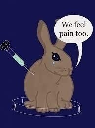 Petition · Stop Animal Testing Now! - United States · Change.org