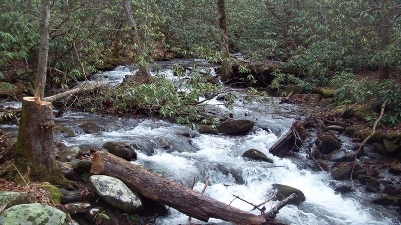 Petition · Stock the North Fork of Anthony Creek in Greenbrier County ...