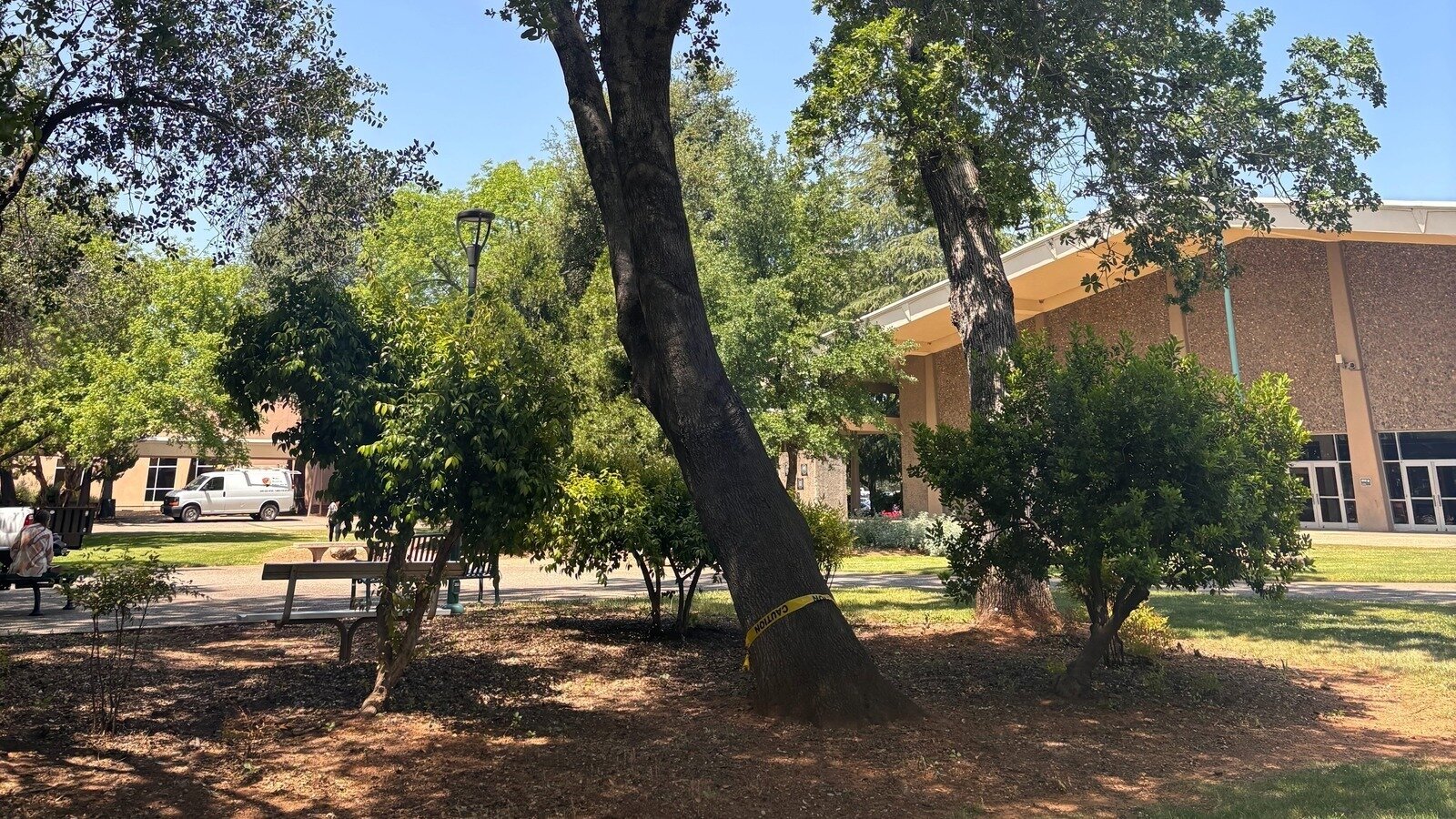 Petition · Stop Shasta College Tree Removal Plans - Redding, United ...