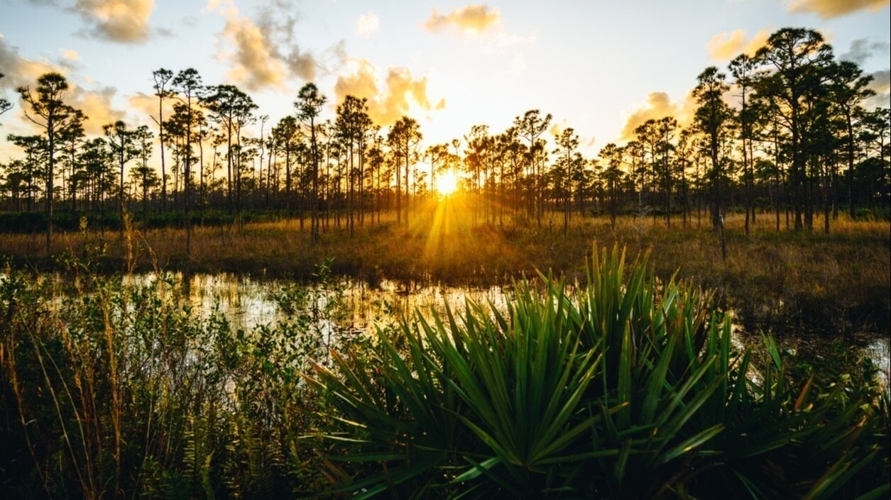 Petition · Save our Florida State Parks - United States · Change.org