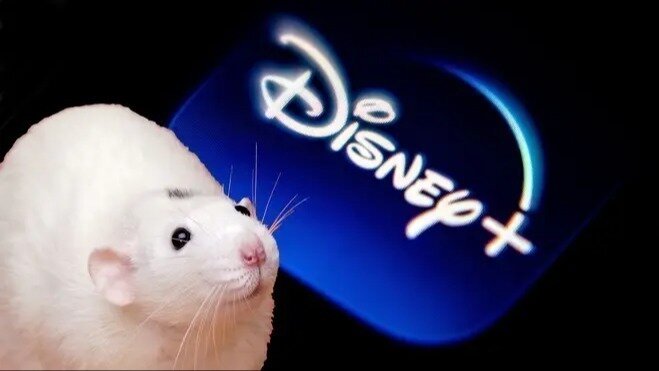 Petition · Disney+: Remove the The Abyss's Rat-Drowning Scene from ...