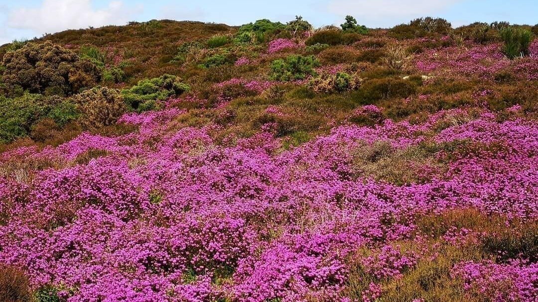 Petition · STOP THE EXPANSION OF BREEDON QUARRY IN BALMULLO, ST ANDREWS ...