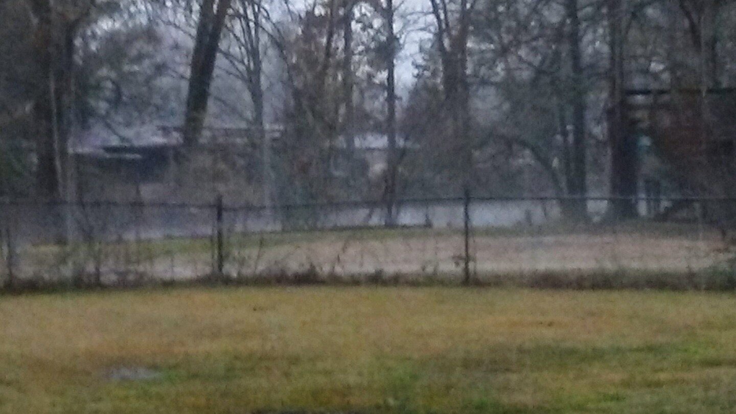 Petition · Spring Bayou Water Control - Marksville, United States ...